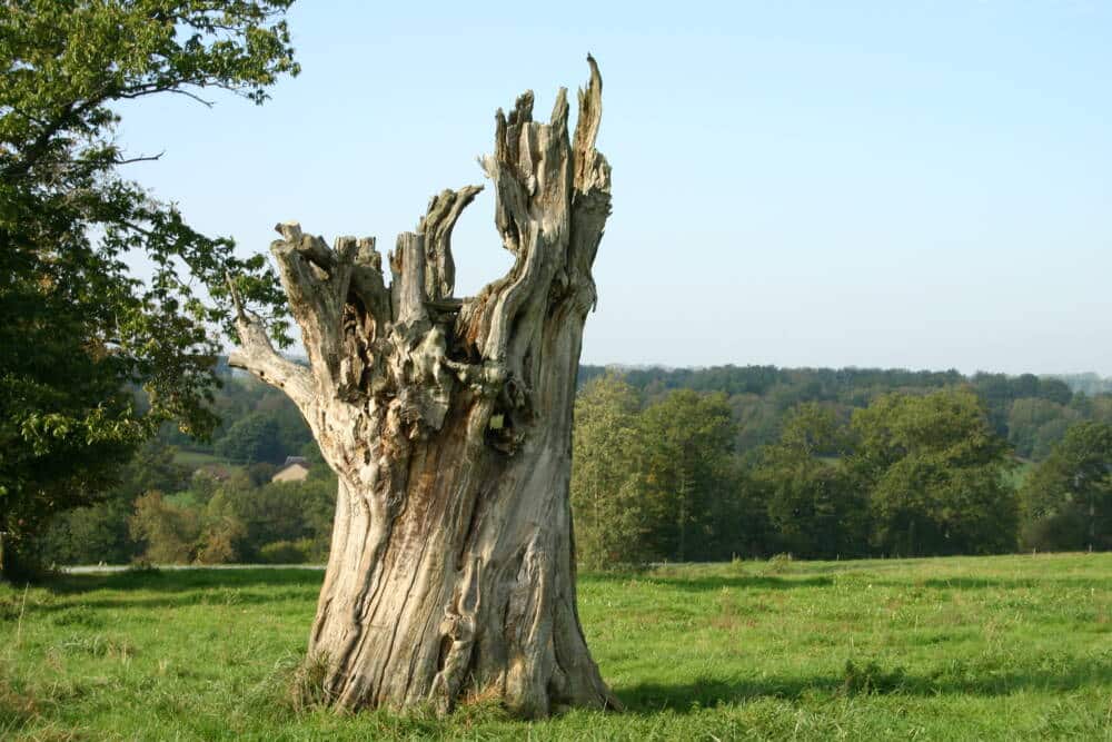 The ORE, a tool for nature protection supported by the Park | PNR ...