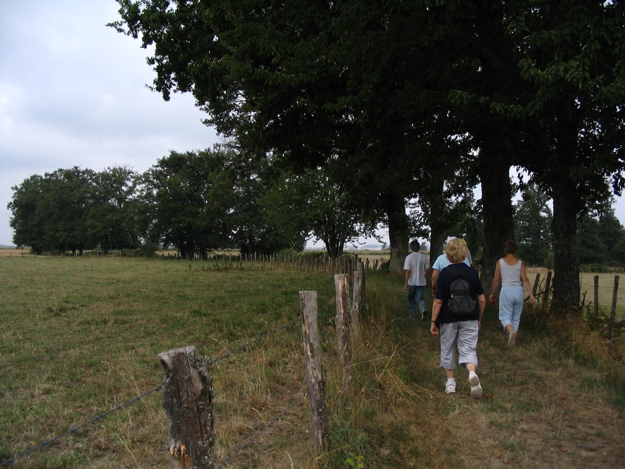 Flavignac - Les Cars connection | PNR Périgord-Limousin